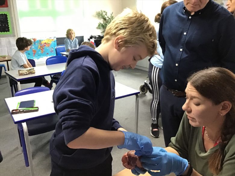 Collaboration of East Harptree and Ubley Primary Schools - Fox