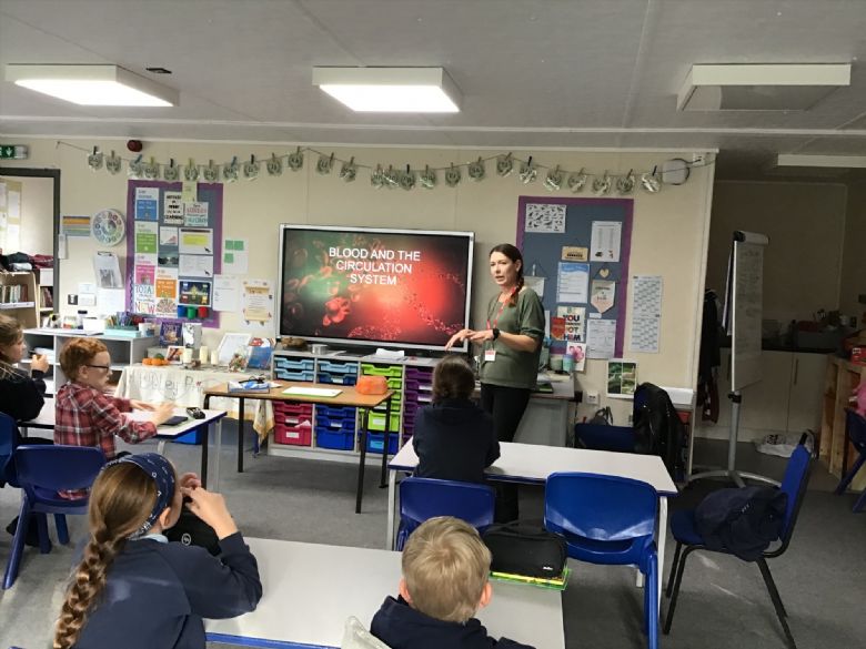 Collaboration of East Harptree and Ubley Primary Schools - Fox