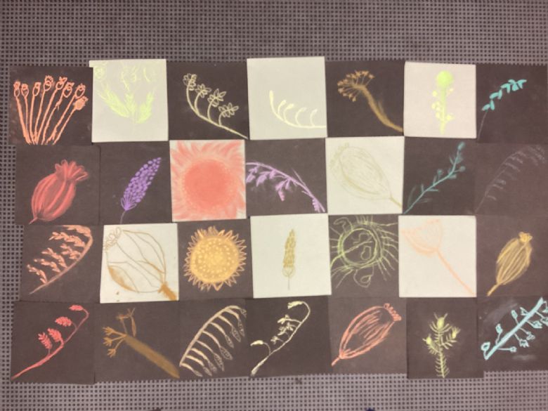 Collaboration of East Harptree and Ubley Primary Schools - Otter