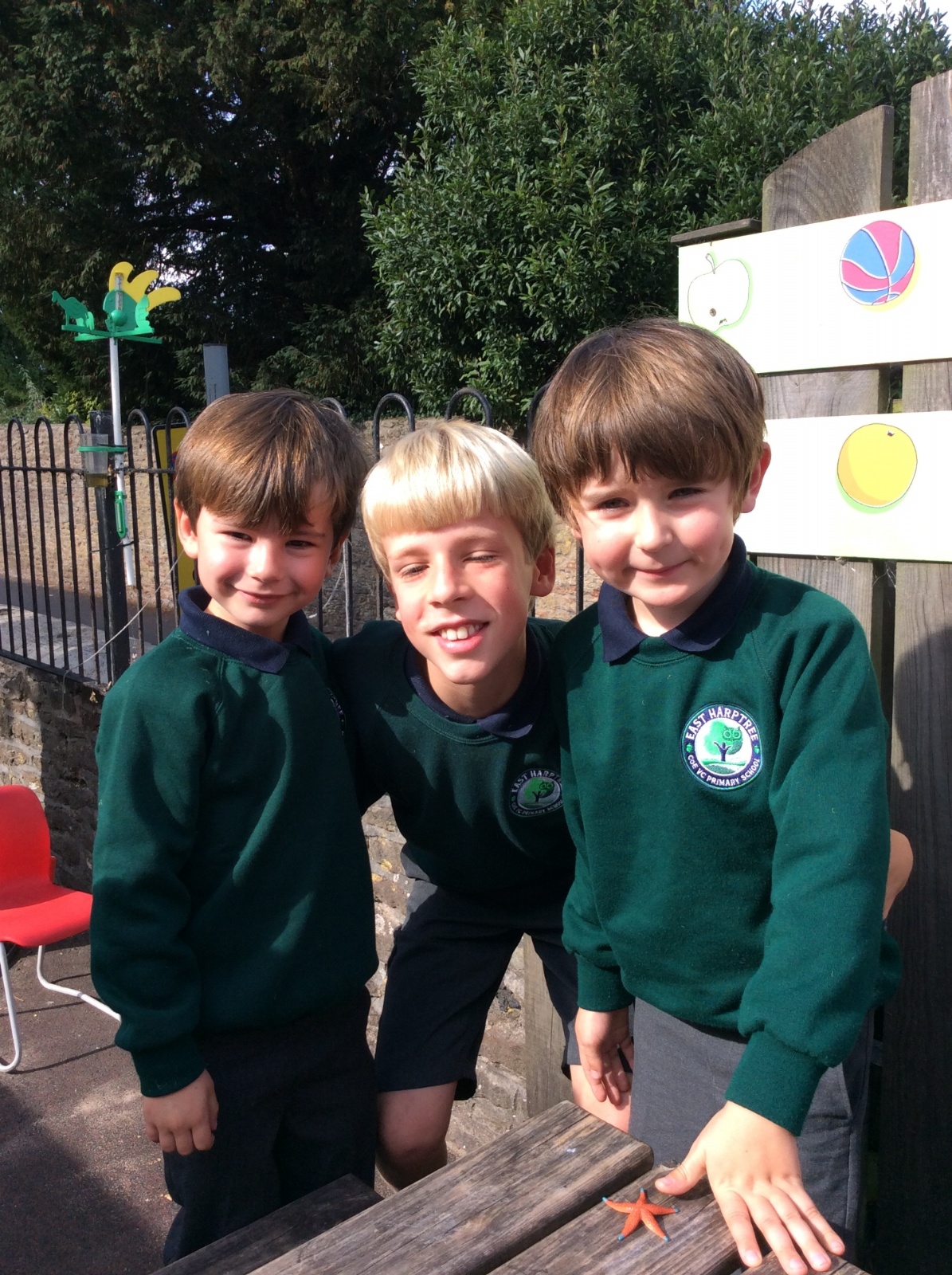 Collaboration of East Harptree and Ubley Primary Schools - Meeting our ...